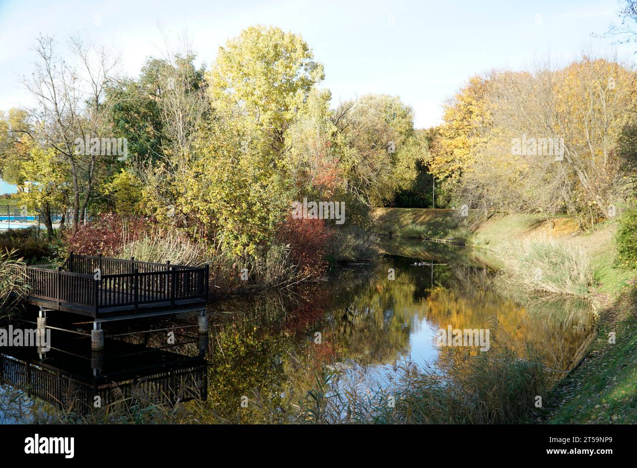 Yellow trees and pond in park - fall time Stock Photo - Alamy