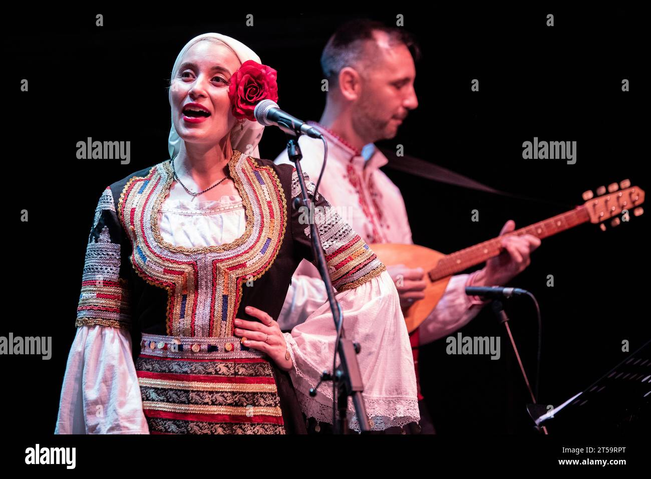 El senglar rialler hi-res stock photography and images - Alamy