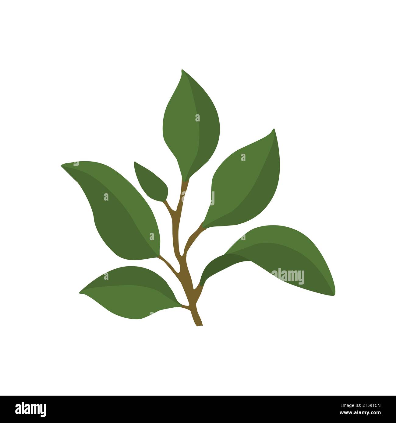 A sprig of lemon in a flat style. Vector illustration highlighted on a ...