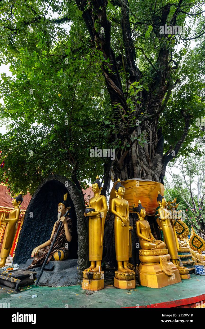 Wat Si Muang(Wat Simuong), Buddha statues, sacred tree, main hall ...