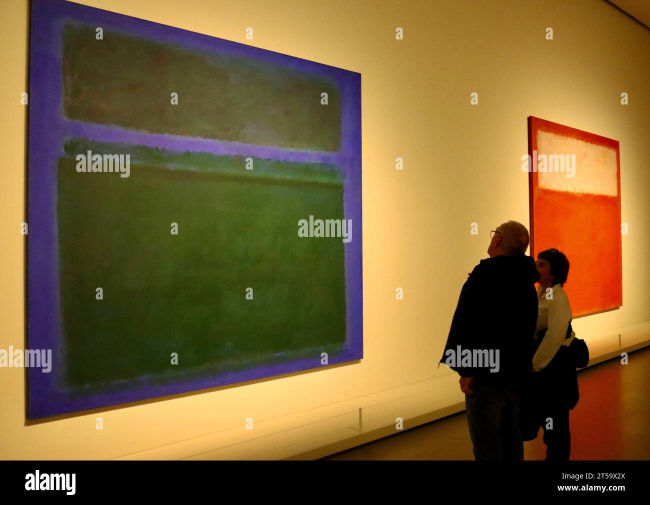 Viewing Mark Rothko paintings at the large Rothko exhibition at ...
