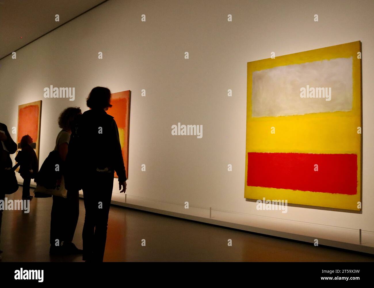 Viewing Mark Rothko paintings at the large Rothko exhibition at ...
