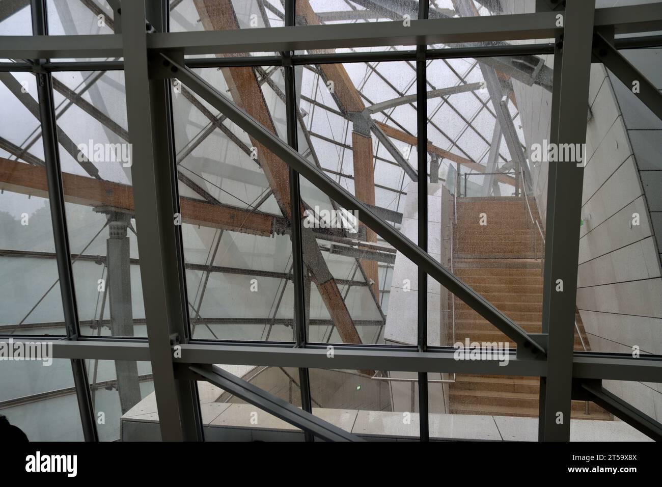 Interior details of the Fondation Louis Vuitton Frank Gehry designed ...