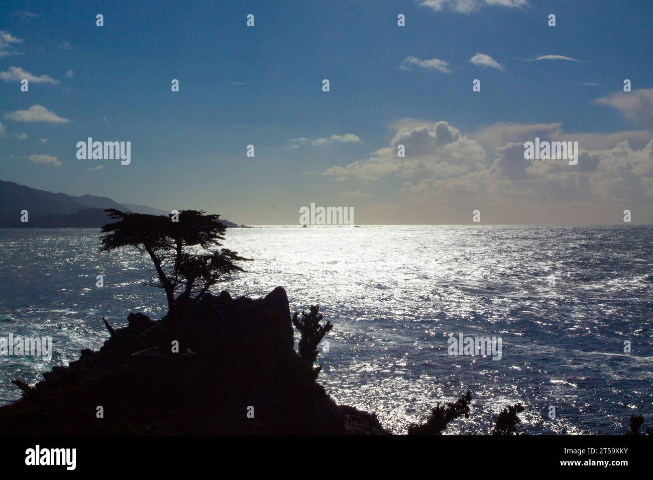 17 mile drive pit stop at The Lone Cypress Tree Stock Photo - Alamy