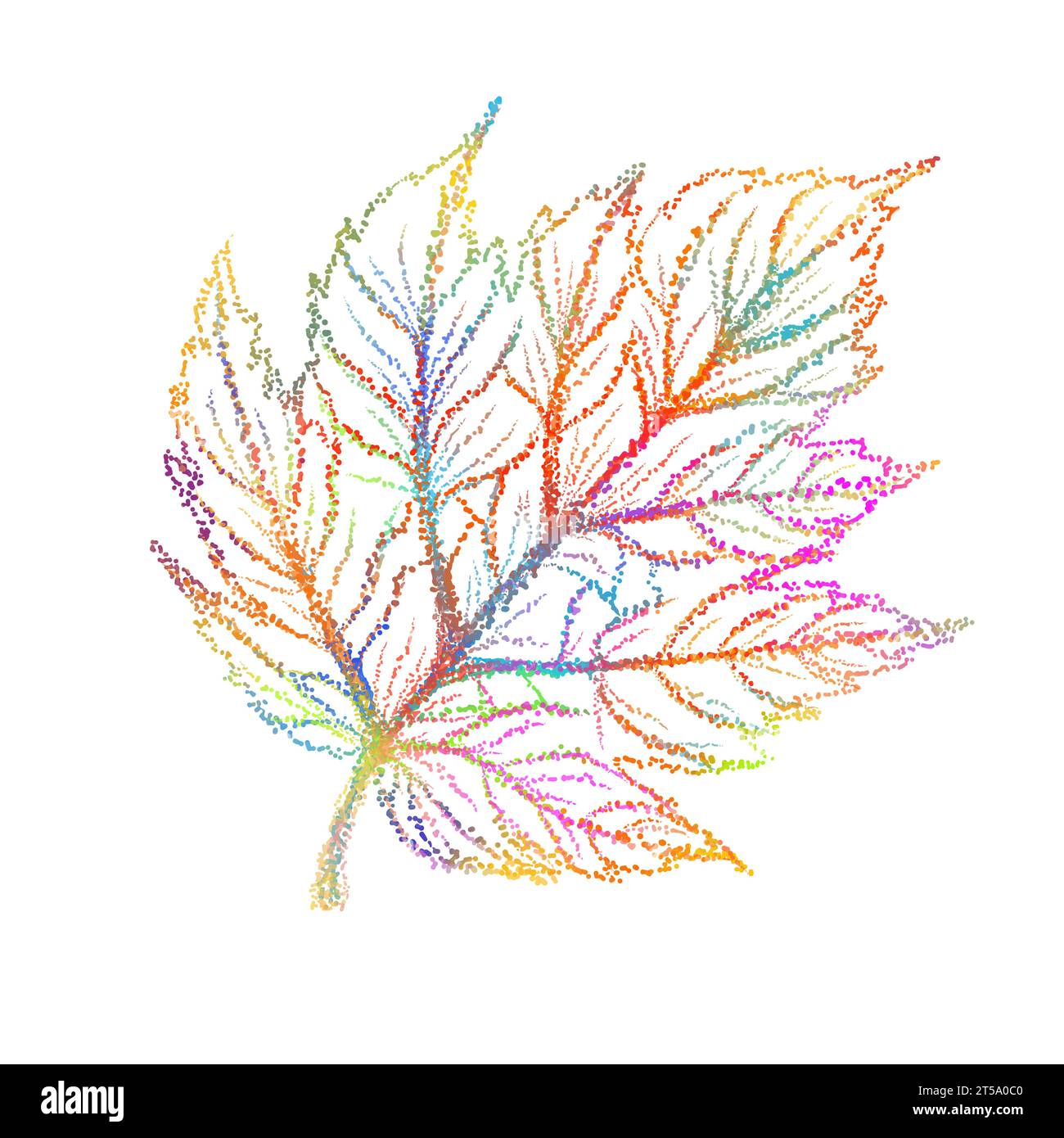 colored maple leaf. Vector illustration Stock Vector Image & Art - Alamy