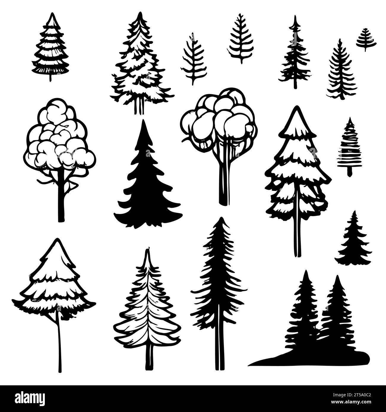 sketch Drawing trees for landscape design. Vector illustration, hand ...