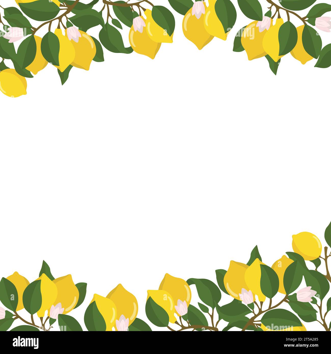 A border of lemon twigs and lemons. Vector illustration isolated on a ...
