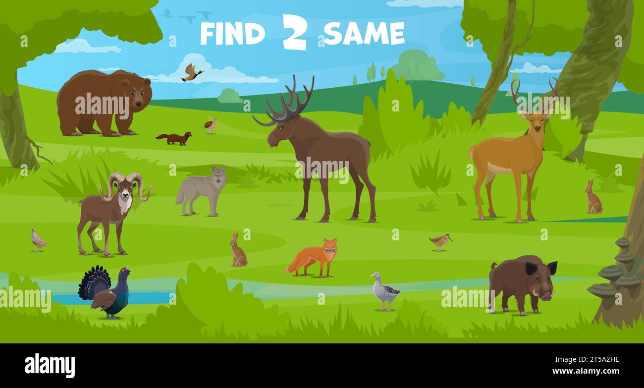 Find two same forest hunting animals on kids game worksheet, vector ...