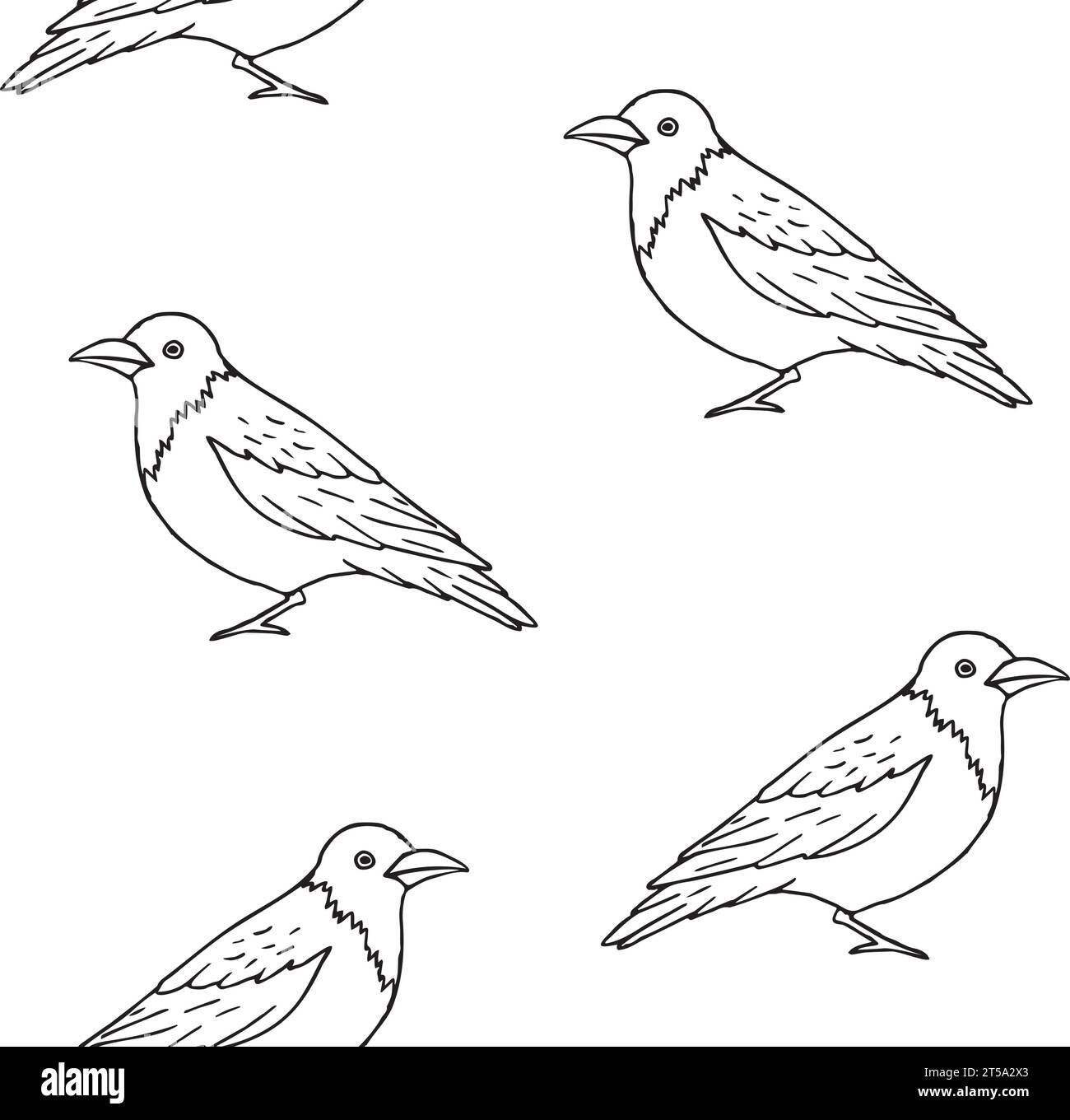 Vector seamless pattern of hand drawn doodle sketch crow isolated on ...