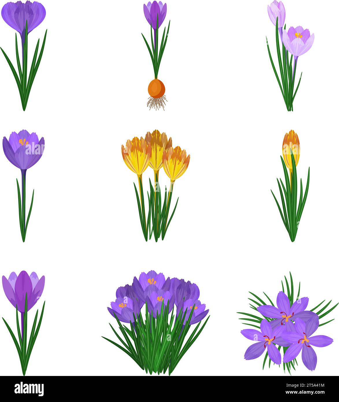 Crocus icons set cartoon vector. Blossom flower Stock Vector Image ...