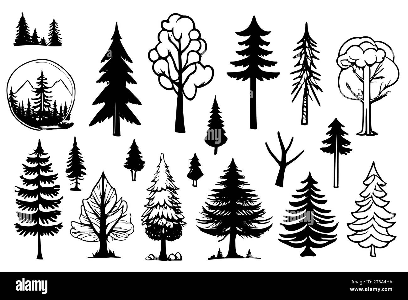 Tree sketches set different types . Hand drawn vector illustration ...