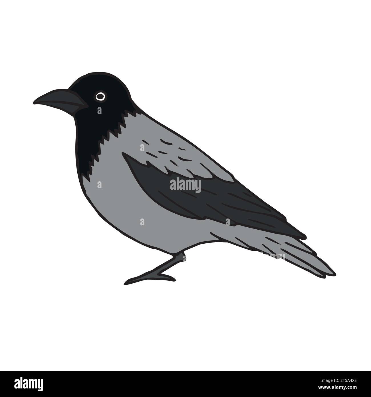 Vector hand drawn doodle sketch colored crow isolated on white ...
