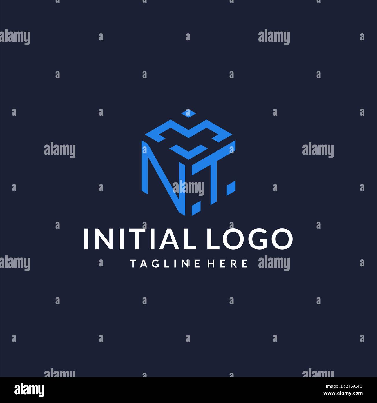 NT logo hexagon designs, best monogram initial logo with hexagonal ...