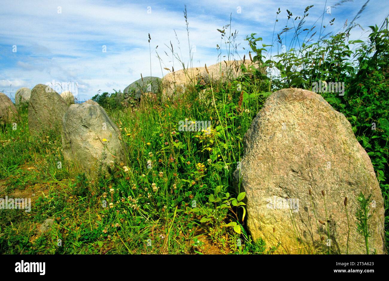 Stones set in landscape, Lohme, Rugen Germany Stock Photo - Alamy