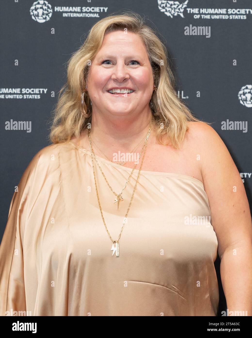 Bridget Everett attends annual The Humane Society's To The Rescue! Gala ...