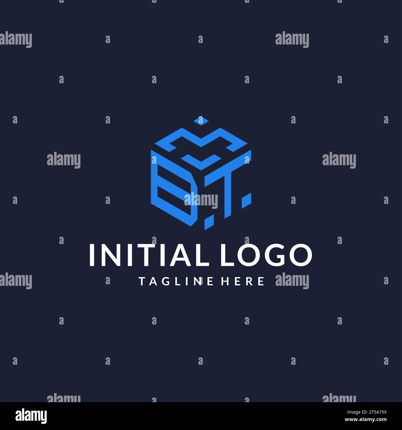 BT logo hexagon designs, best monogram initial logo with hexagonal ...