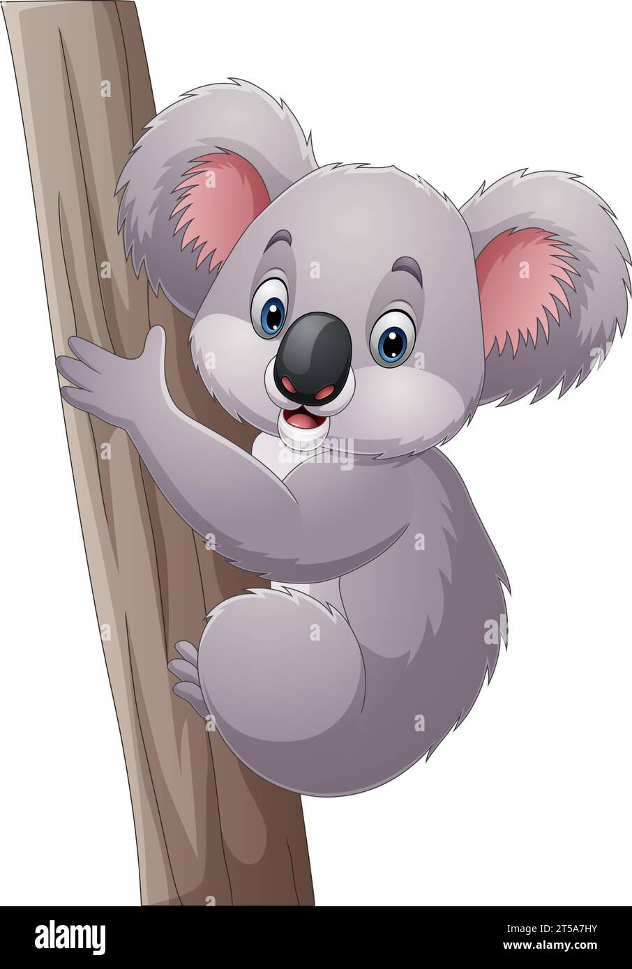Cartoon koala on a tree branch Stock Vector Image & Art - Alamy
