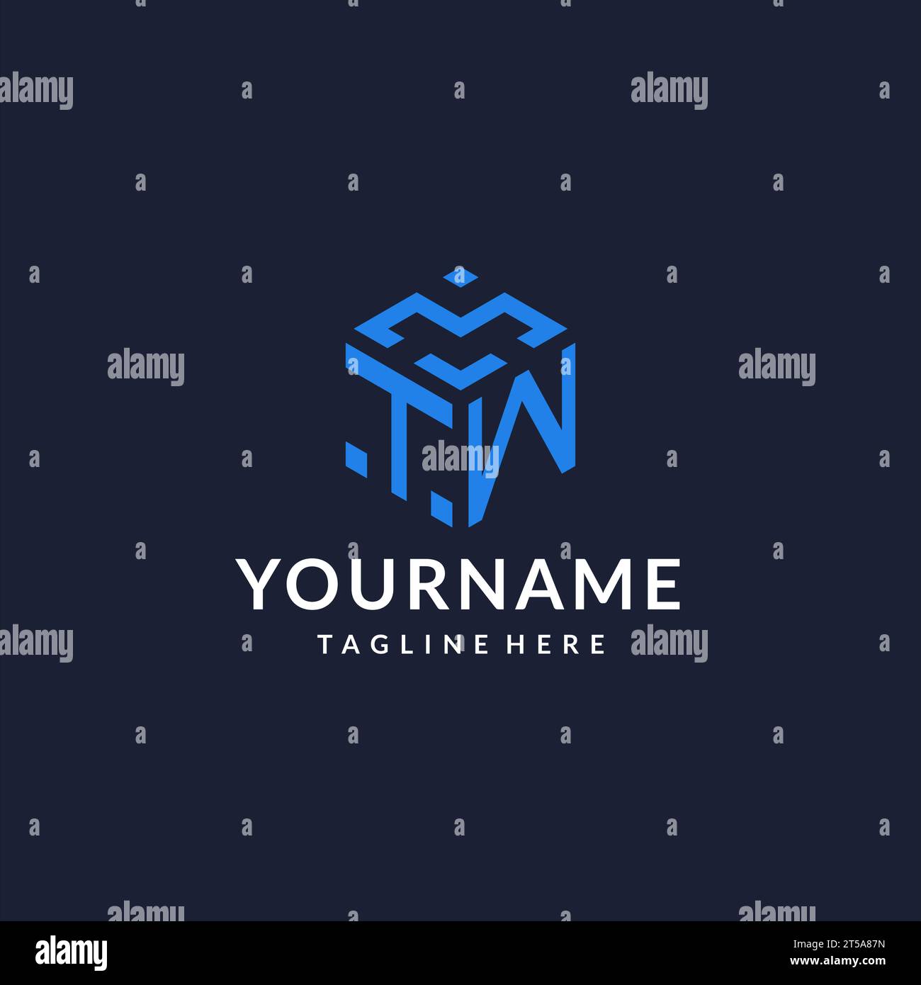 TW logo hexagon designs, best monogram initial logo with hexagonal ...