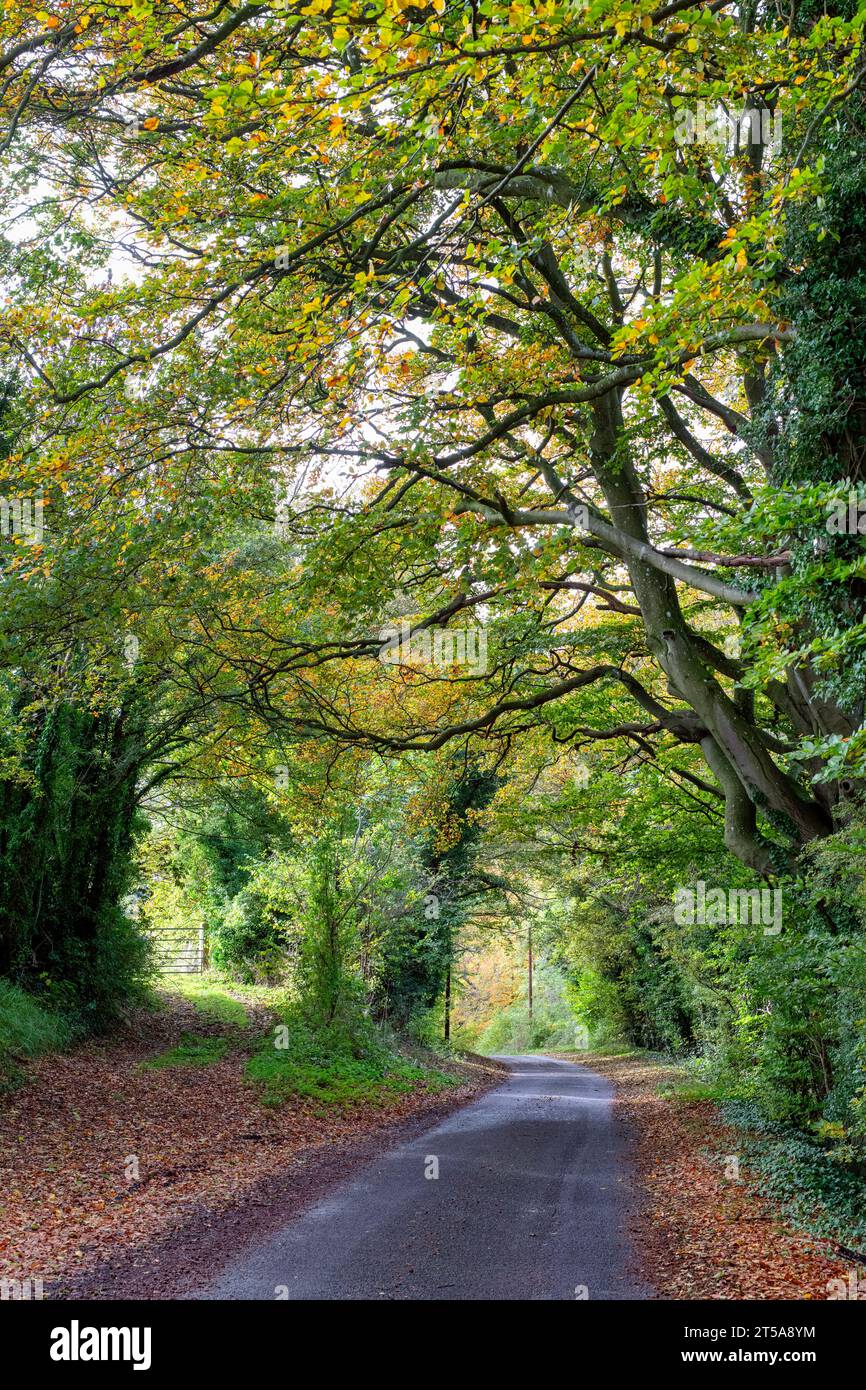 Autumn in the Oxfordshire countryside, England Stock Photo - Alamy