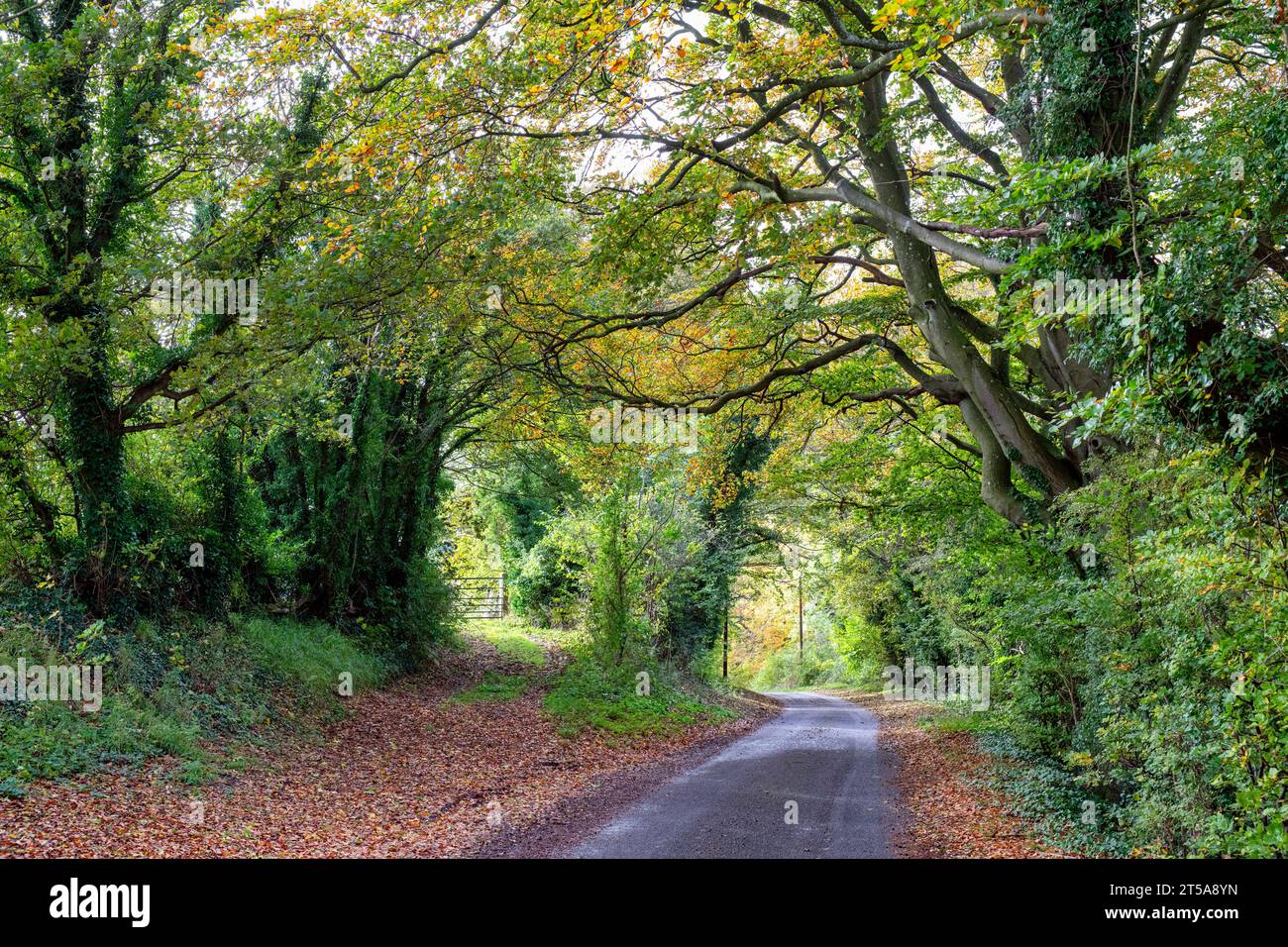 Autumn in the Oxfordshire countryside, England Stock Photo - Alamy