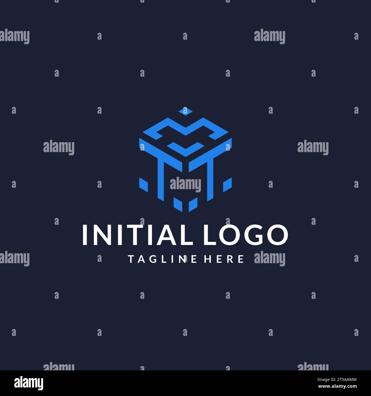 TT logo hexagon designs, best monogram initial logo with hexagonal ...