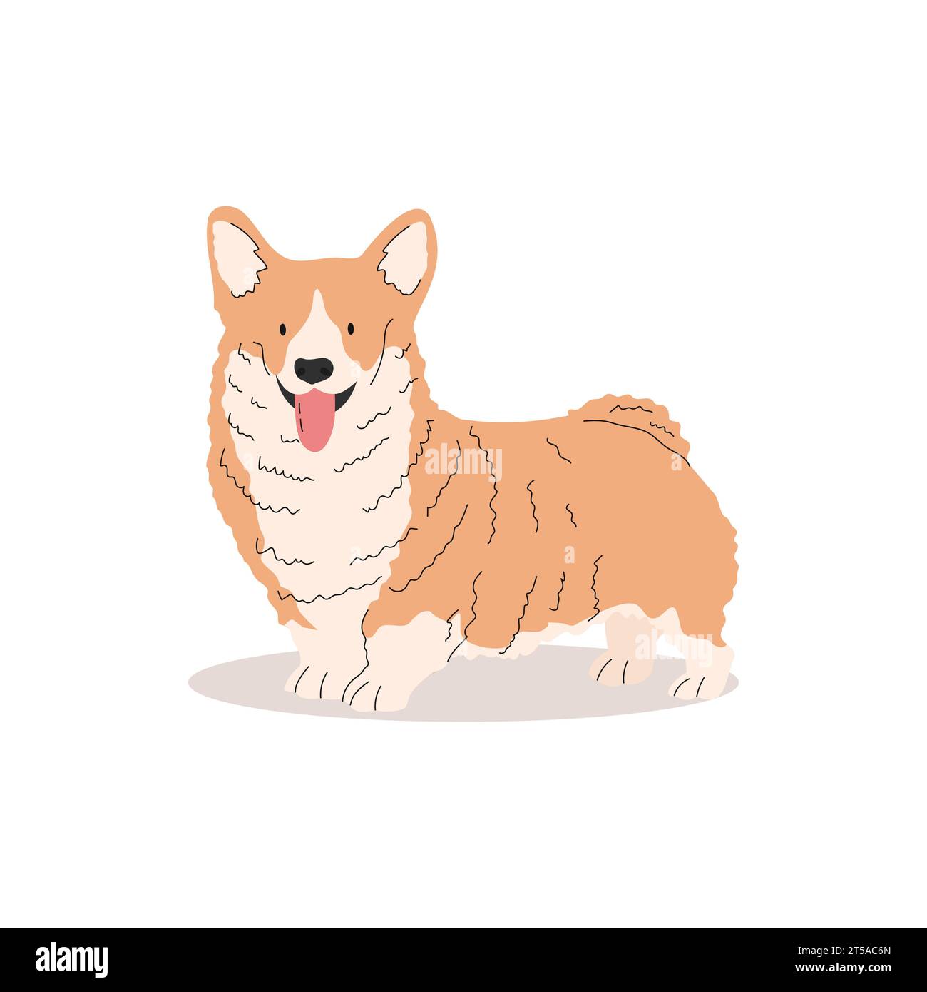 Funny and happy corgi. Dogs collection. Vector illustration of cute ...
