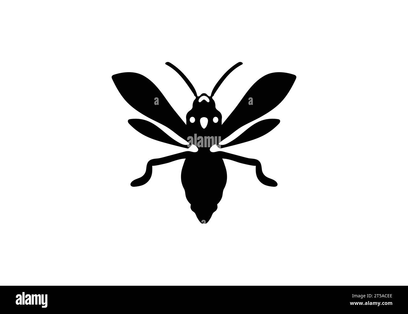 minimal style Asian Giant Hornet icon illustration design Stock Vector ...