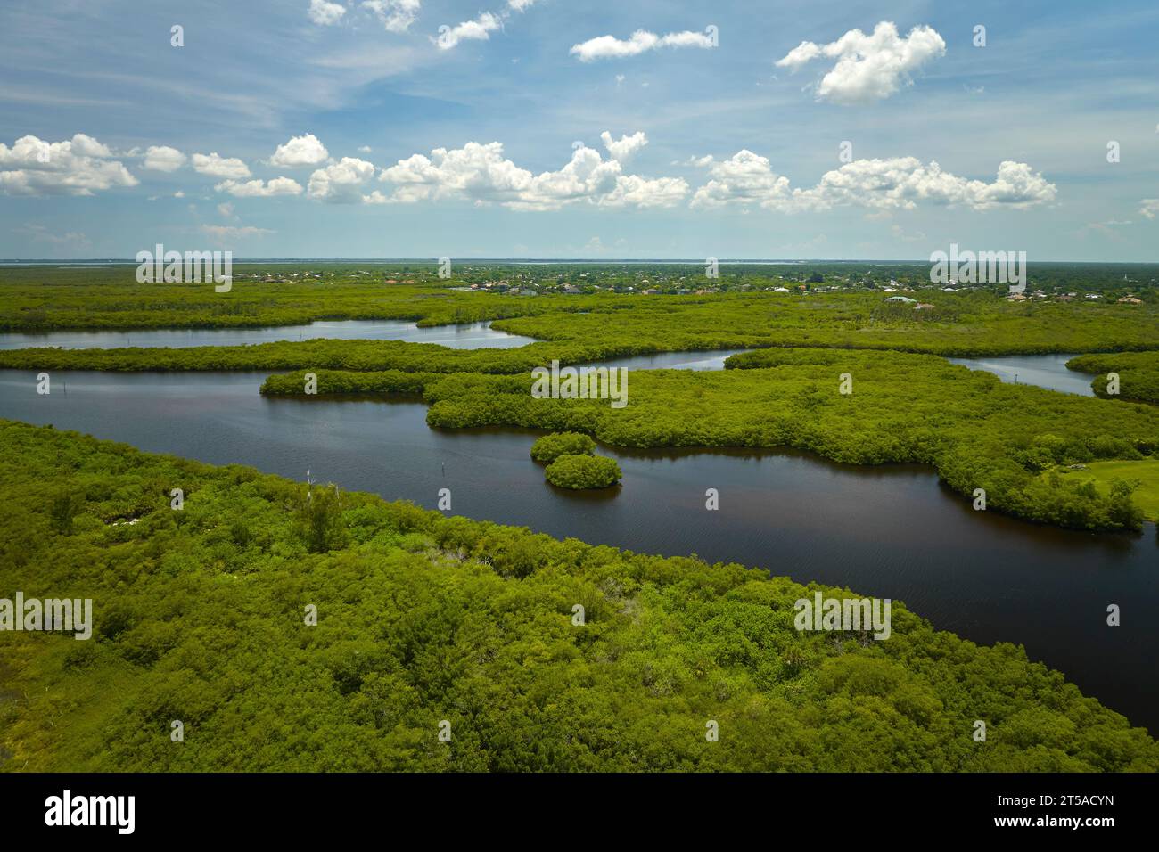 Aerial view of Florida wetlands with green vegetation between ocean ...