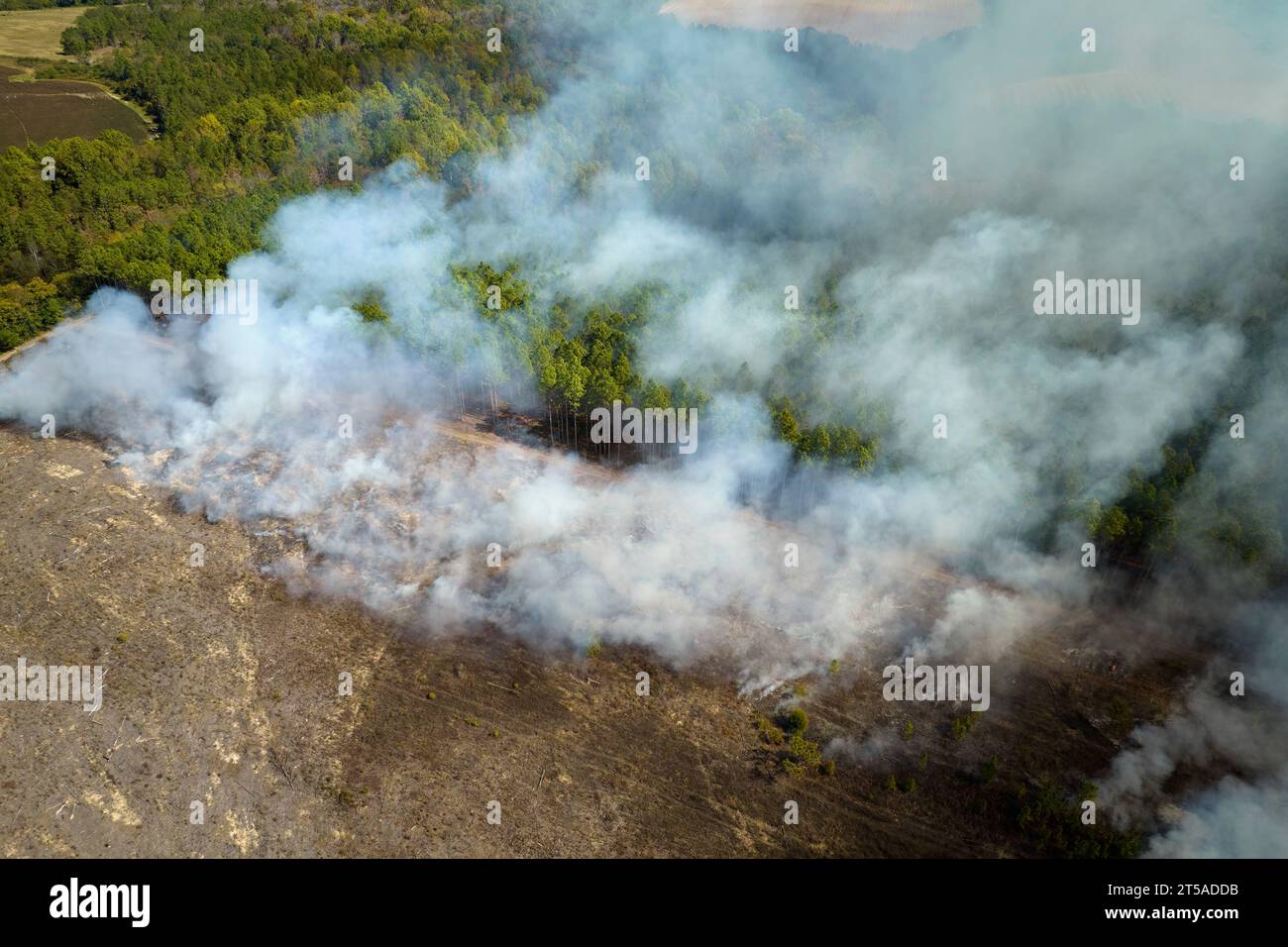 Aerial view of white smoke from forest fire rising up polluting ...