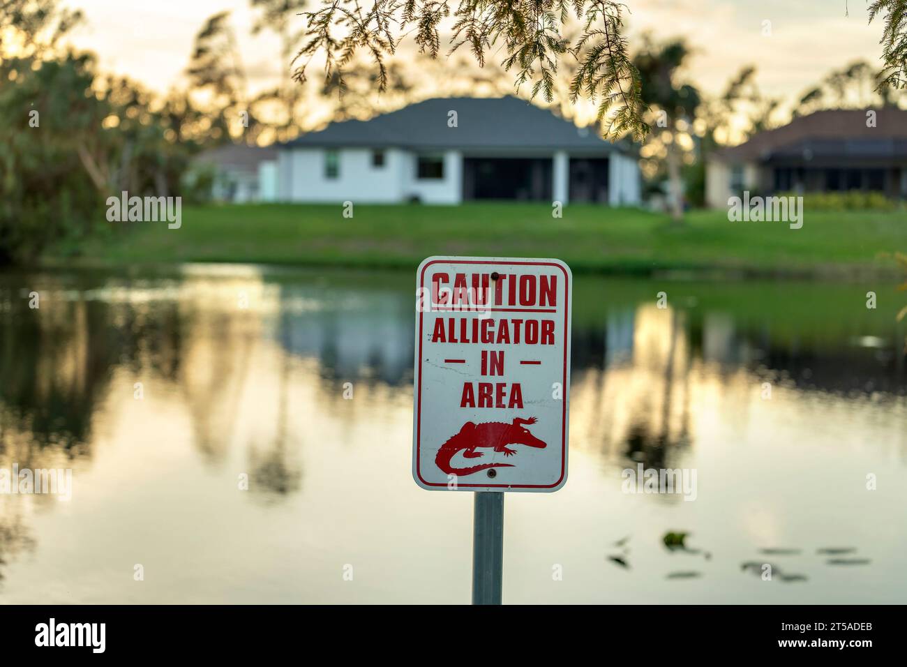 Alligator warning sign in Florida park about caution and safety during ...