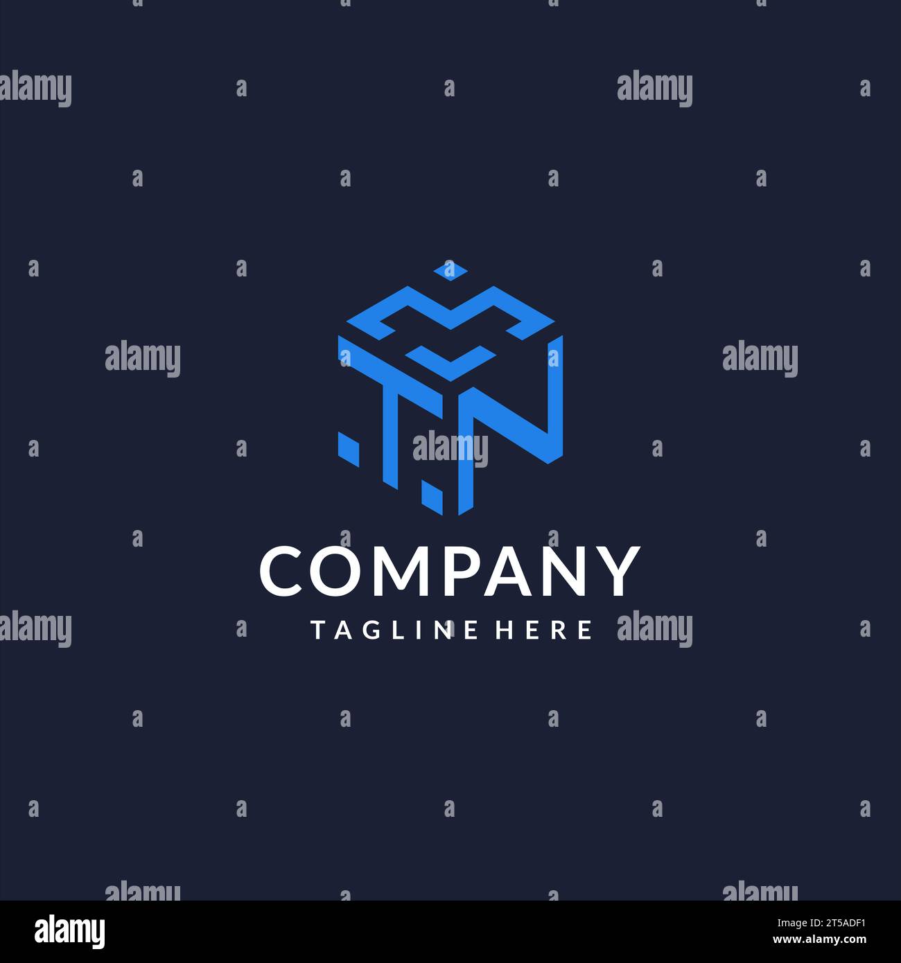 TN logo hexagon designs, best monogram initial logo with hexagonal ...