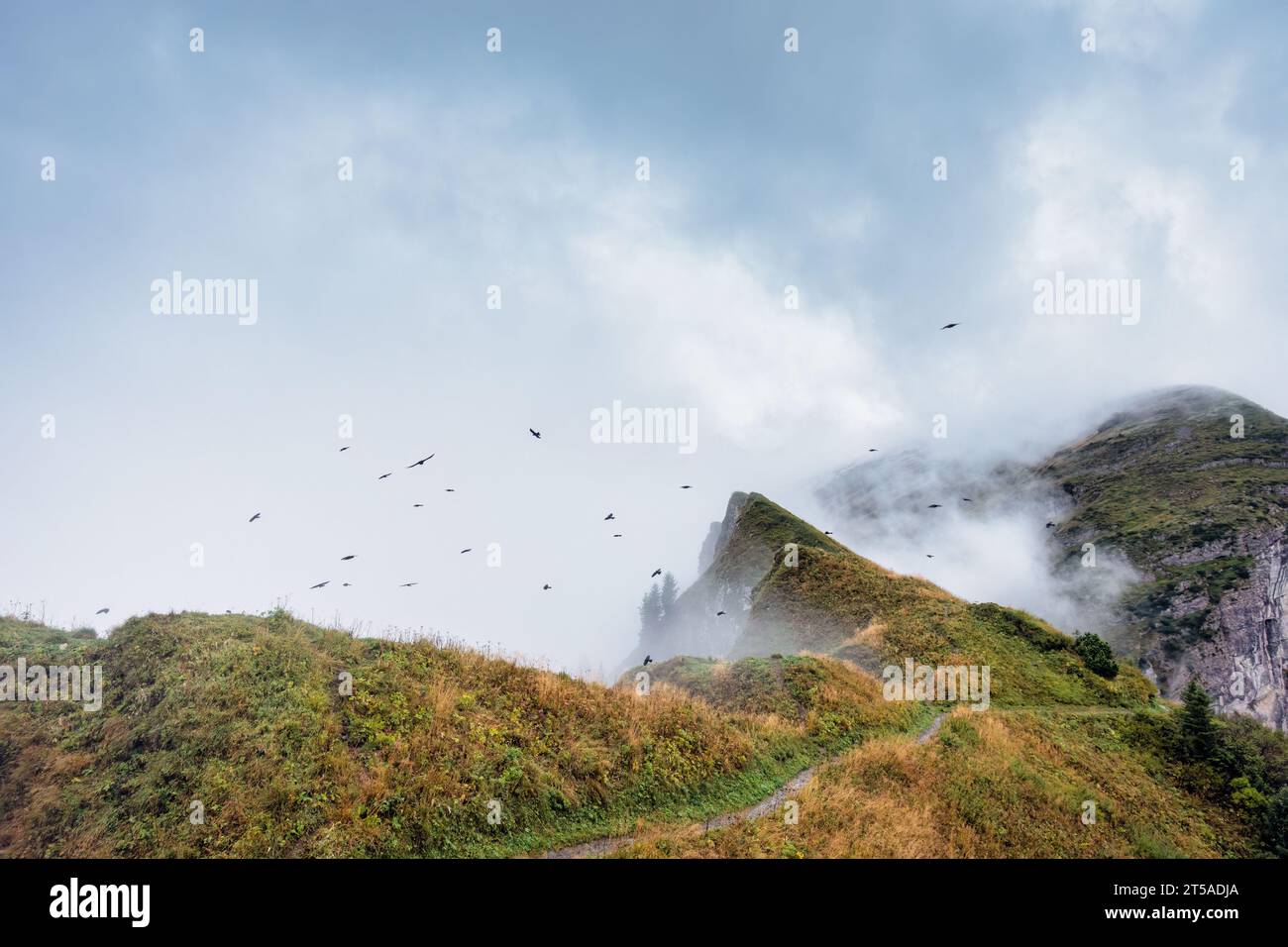 Scenic view of foggy mountain ridge with flock of bird flying on Saxer ...