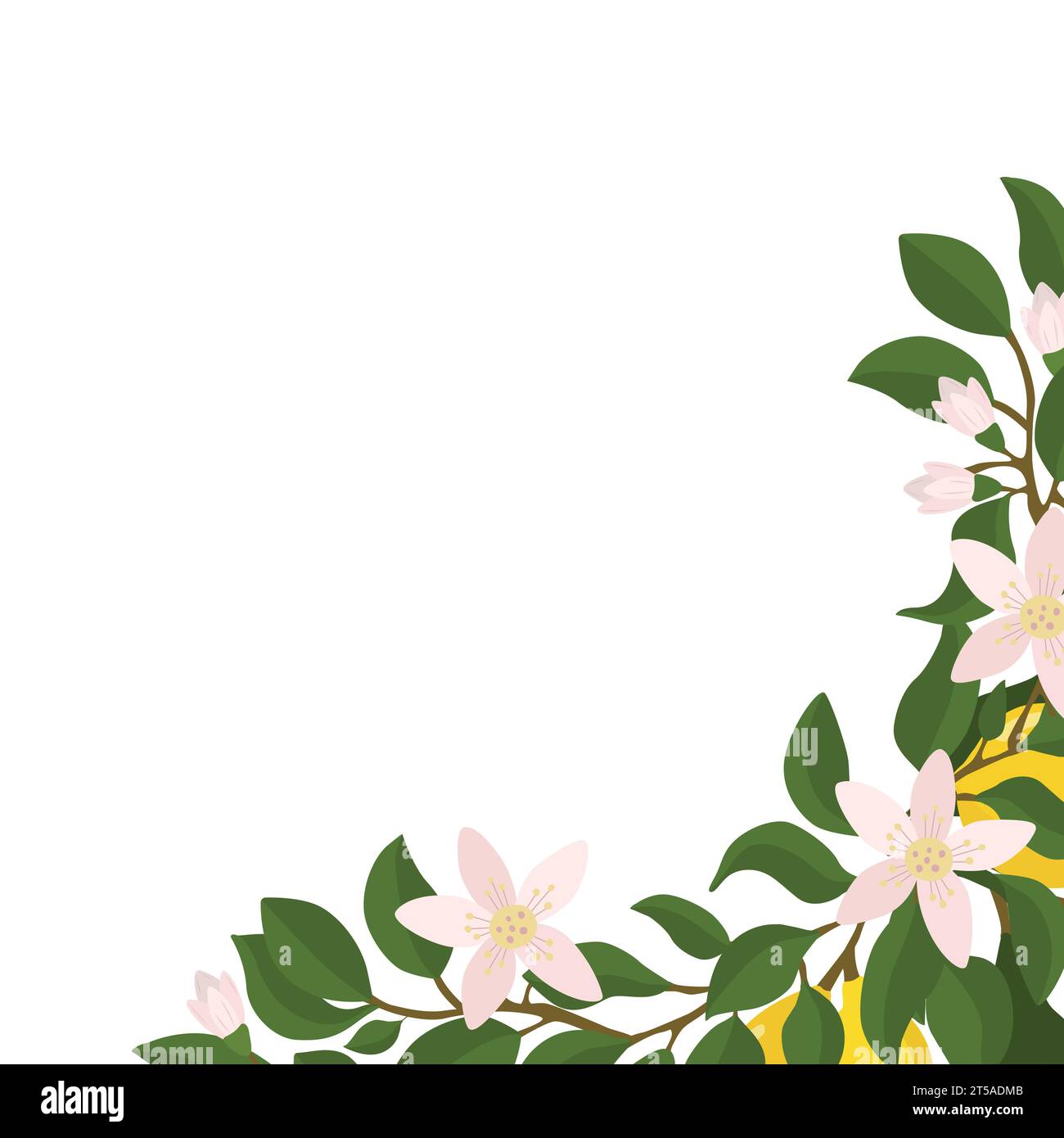 A border of lemon twigs and lemons in the corner of the composition ...