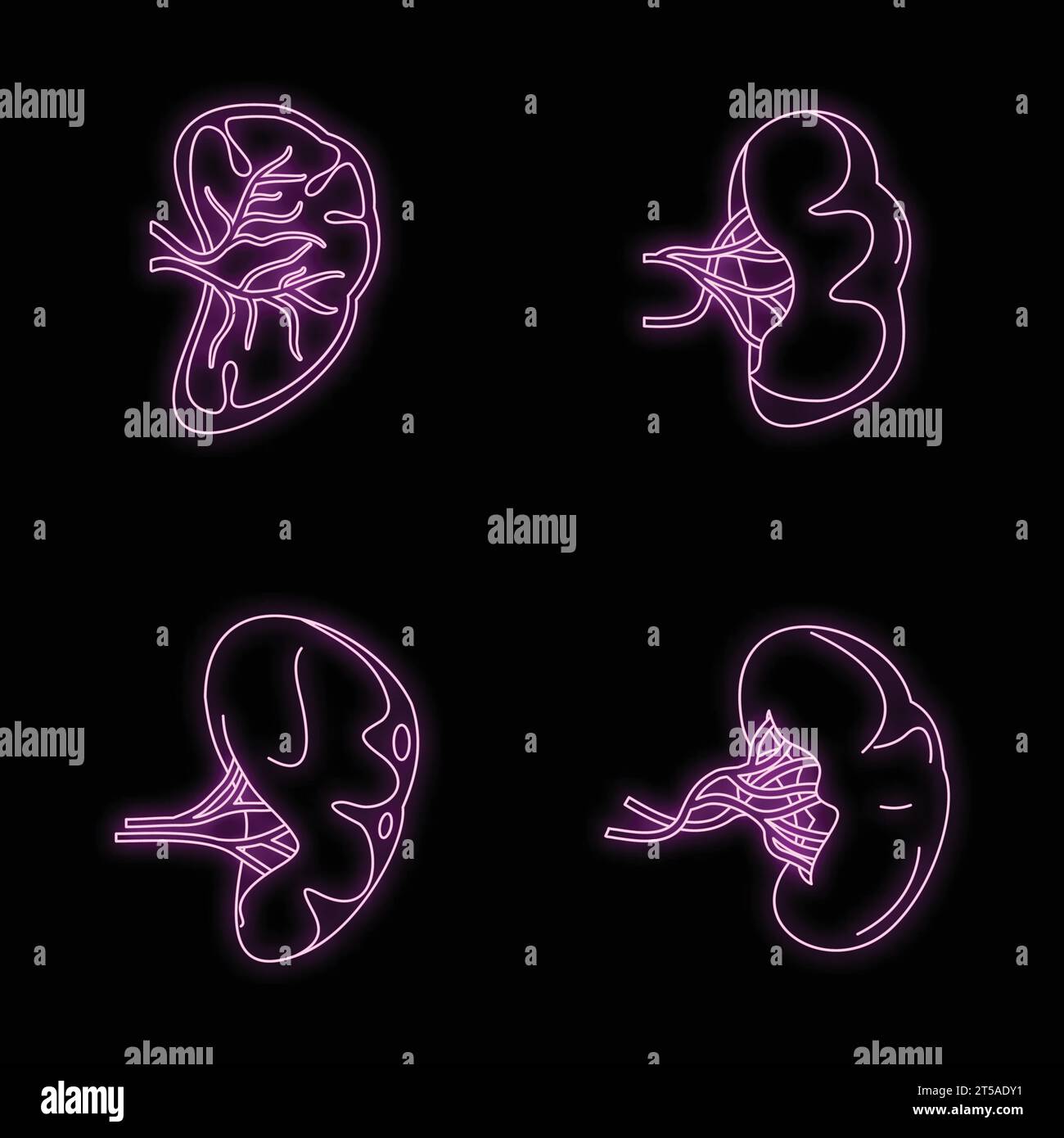 Spleen milt anatomy icons set. Outline illustration of 4 spleen milt ...