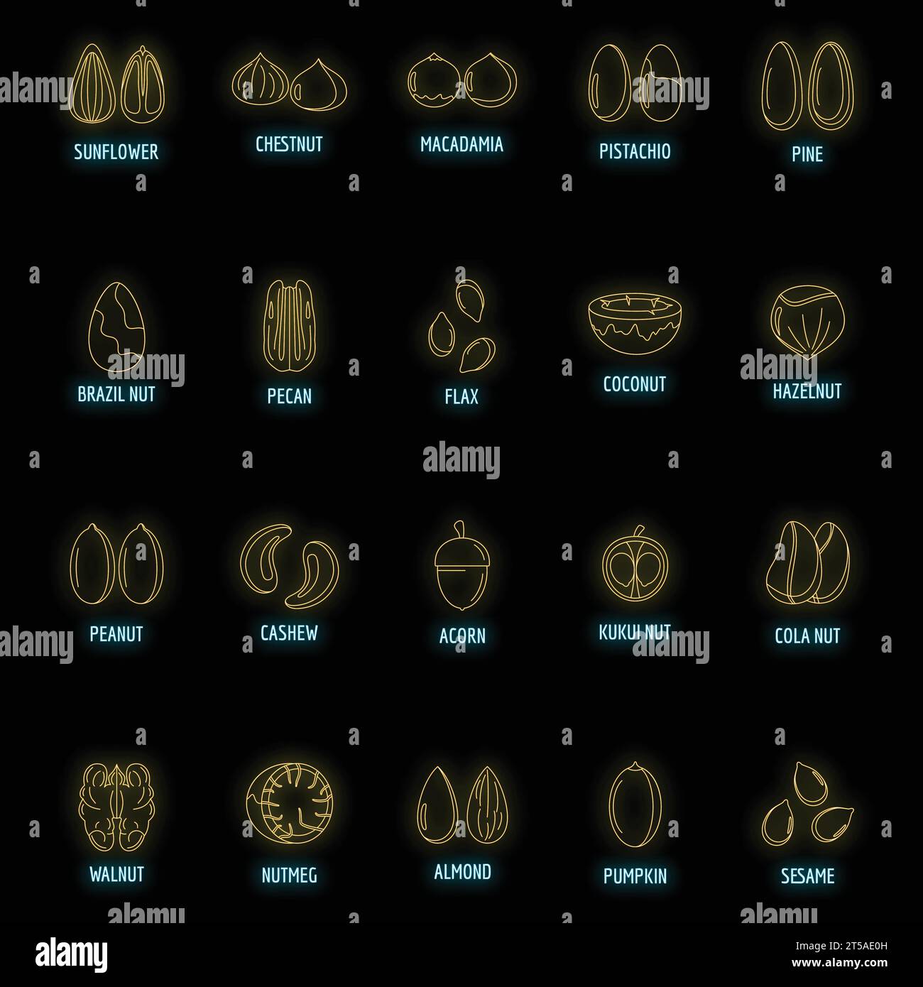 Nut types with signed names icons set. Outline illustration of 20 nut ... Nut types with signed names icons set. Outline illustration of 20 nut ...