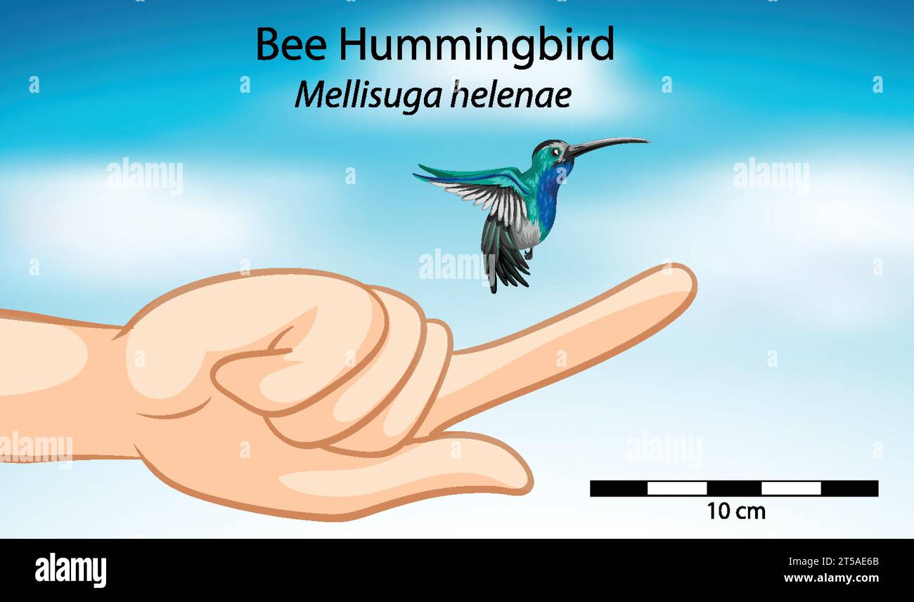 A stunning illustration comparing the size of a human hand to a ...