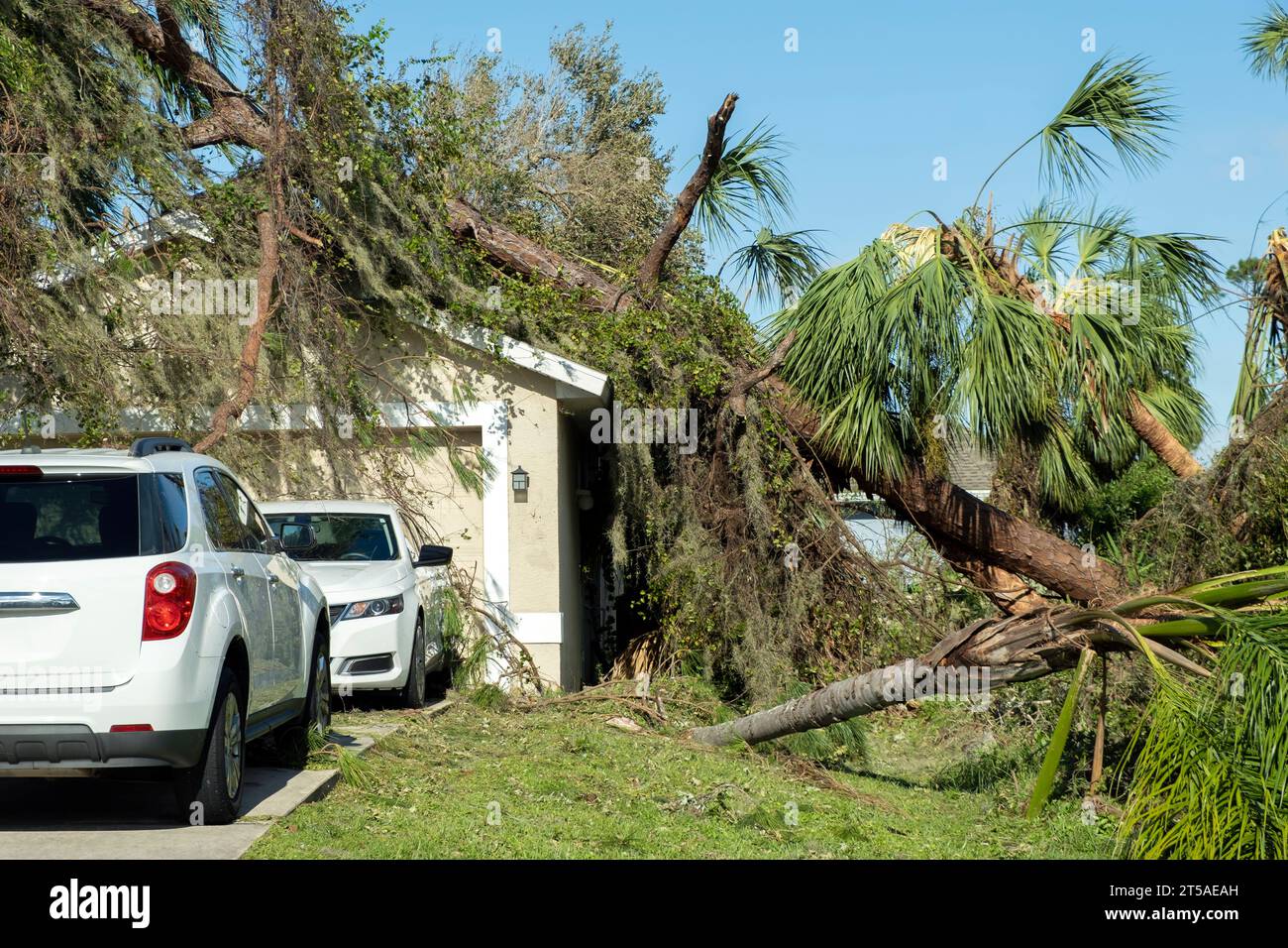 Hurricane damage to a house roof in Florida. Fallen down big tree after ...