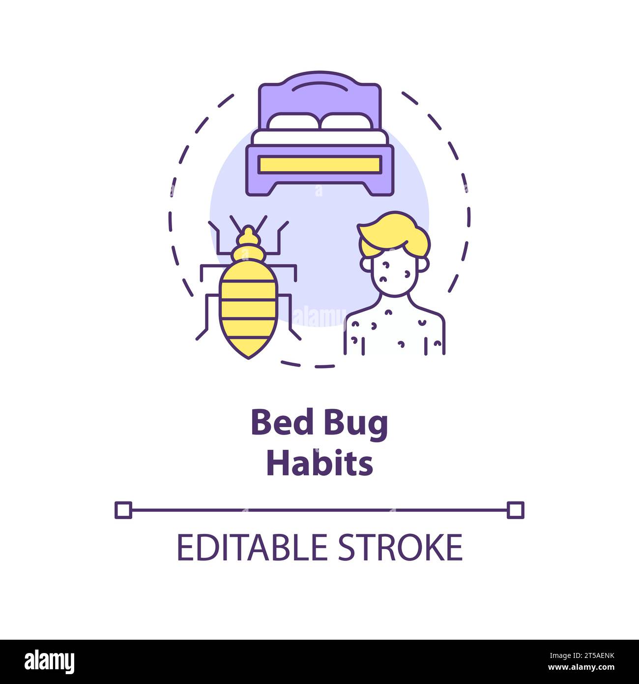 2D simple thin line icon bed bug habits concept Stock Vector Image ...