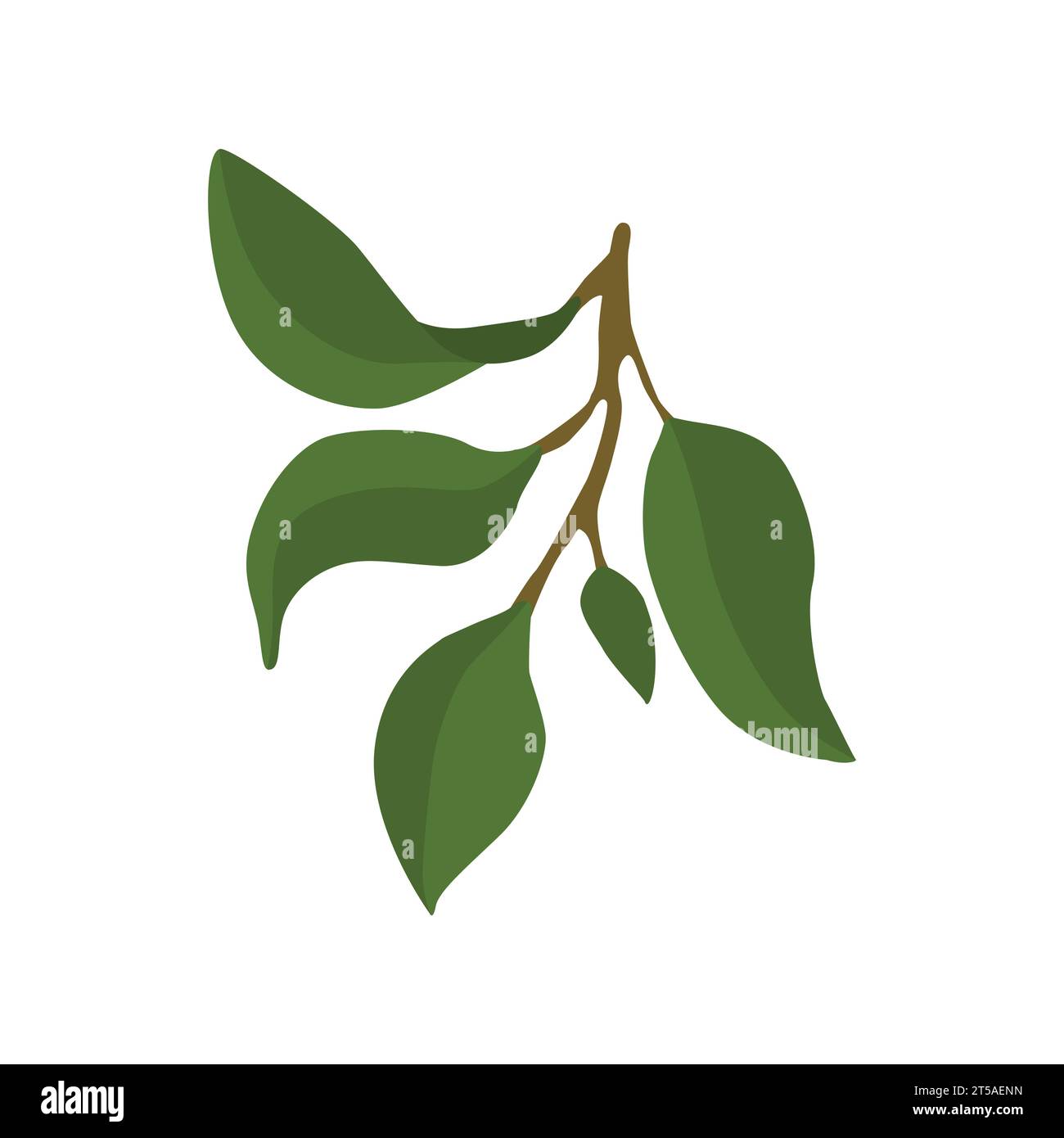 A sprig of lemon in a flat style. Vector illustration highlighted on a ...