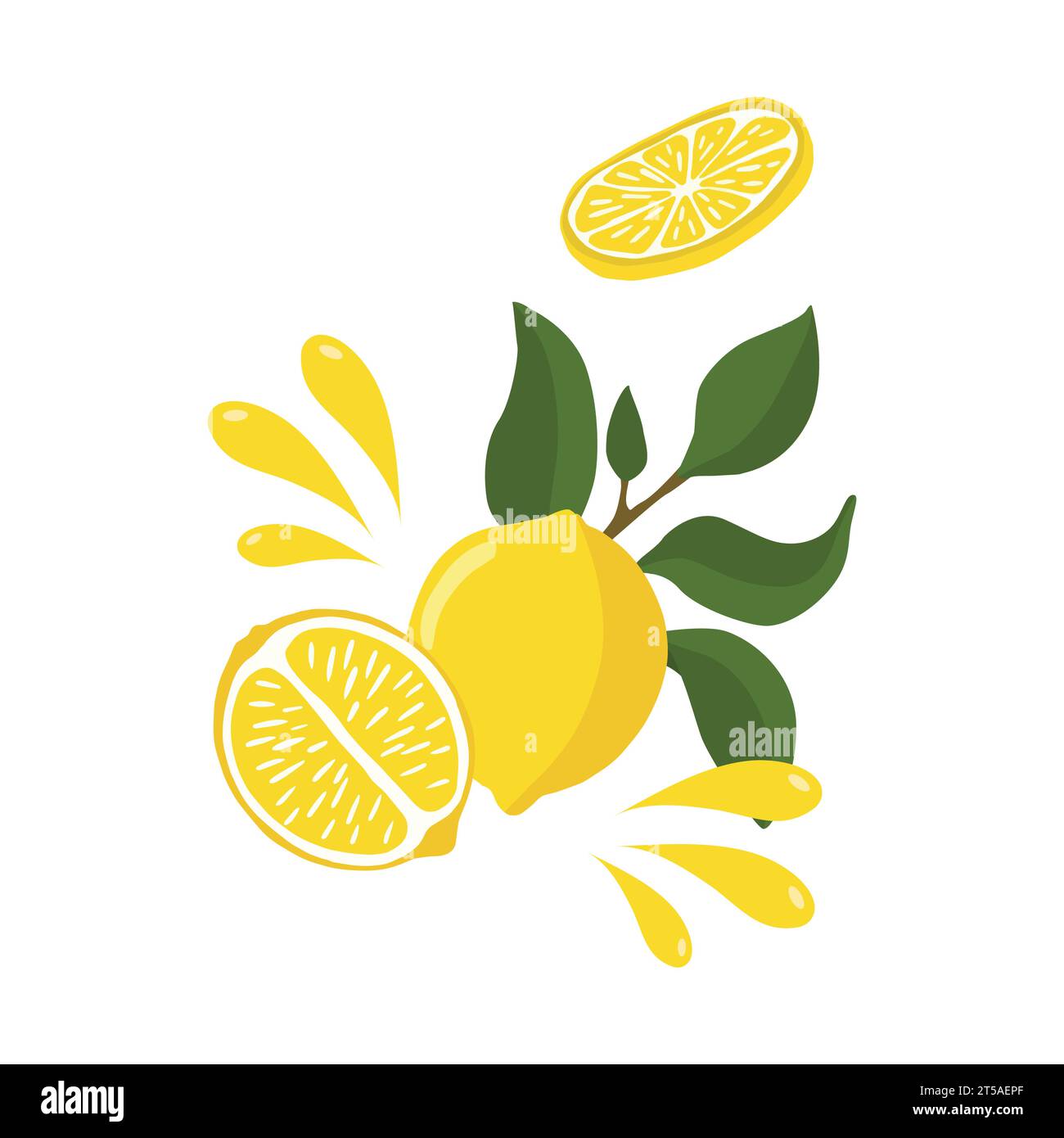 A bright composition is a sprig of lemon with a whole lemon half ...