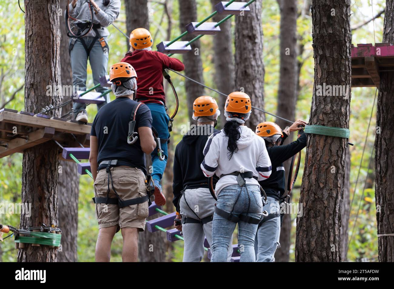 A group embarks on a high ropes challenge at an adventure park ...