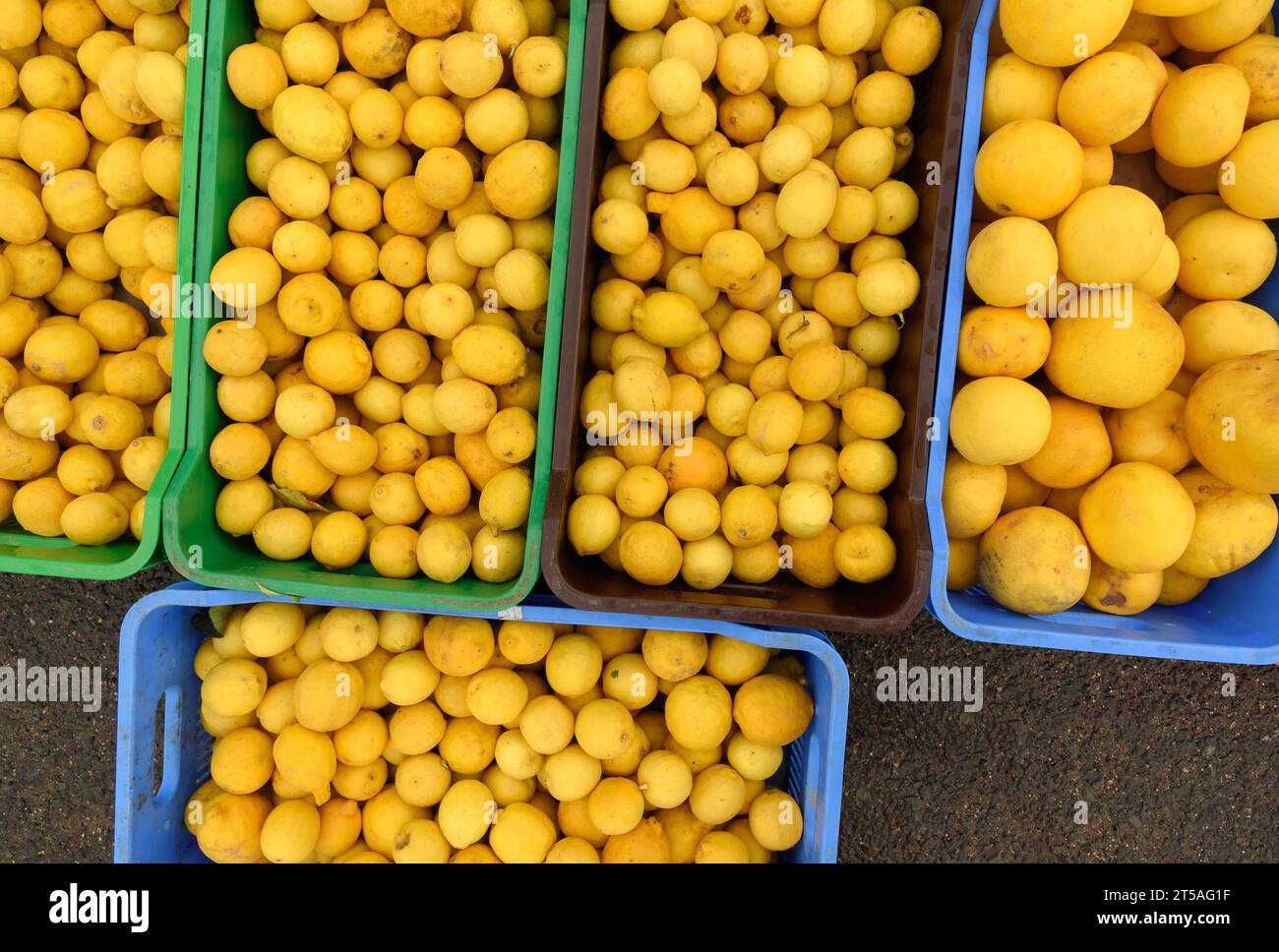 Lemons in a box hi-res stock photography and images - Alamy