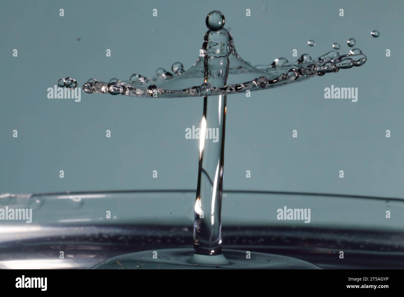 two drops of water collide and cause a splash with crown and spikes ...