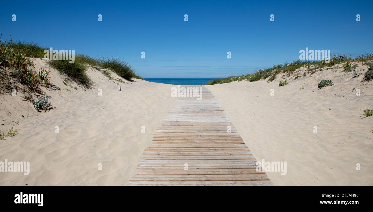 Wooden sand pathway access to le verdon sea atlantic beach coast in ...