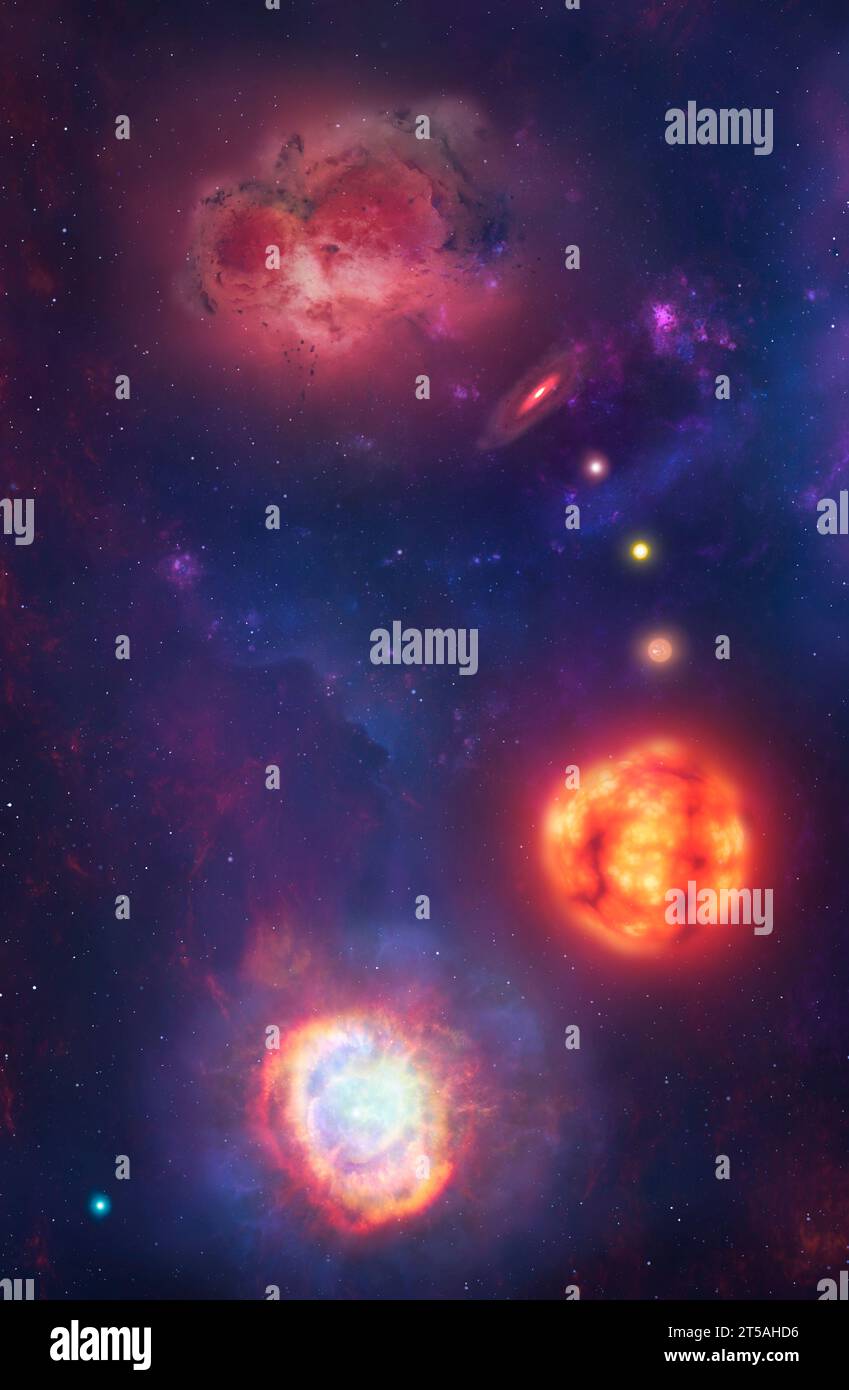 Birth and death cycle hi-res stock photography and images - Alamy