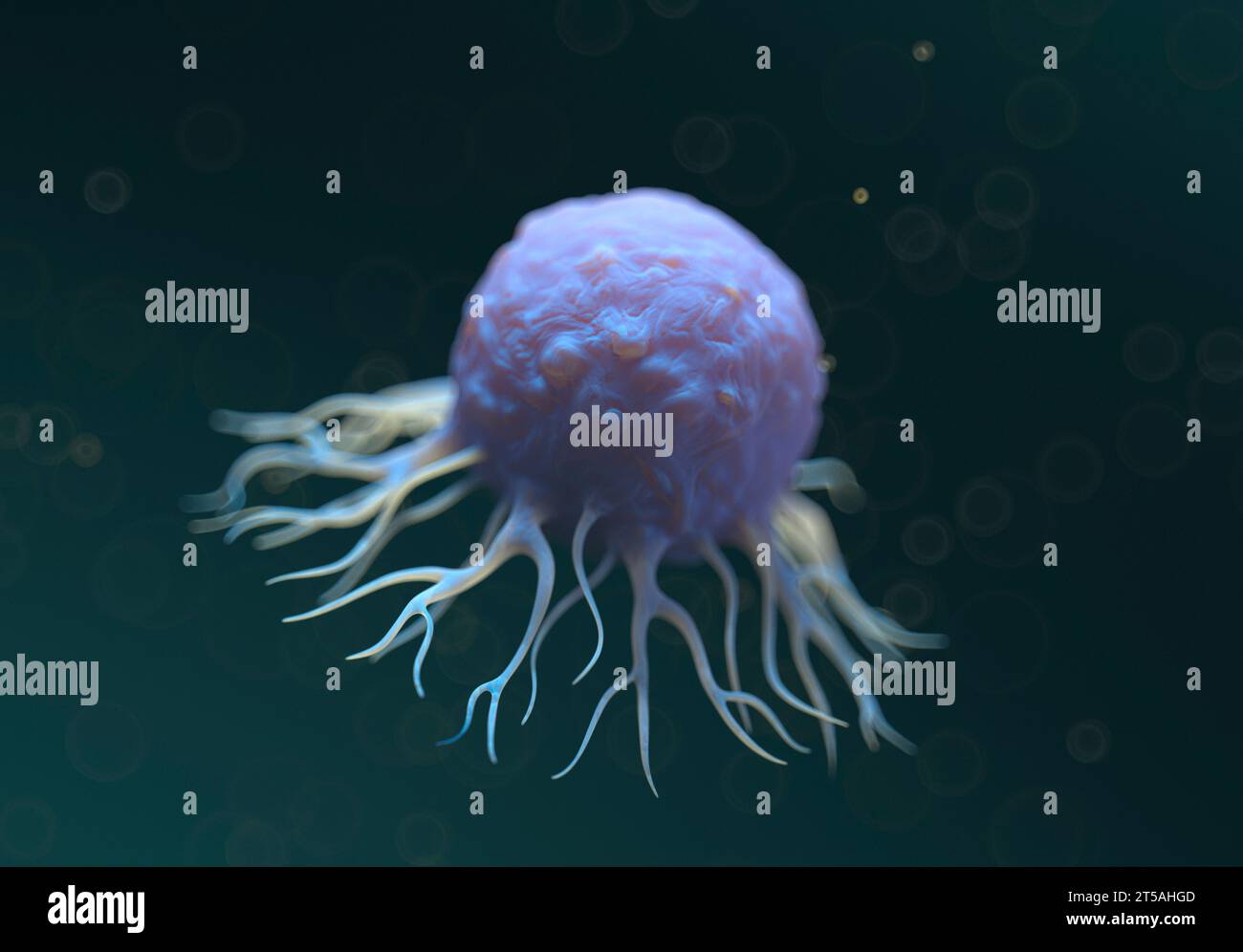 Cancer cell, illustration Stock Photo - Alamy
