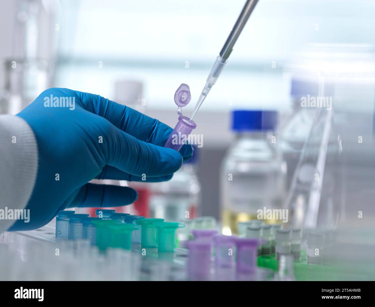 Scientist analysis biotechnology research hi-res stock photography and ...