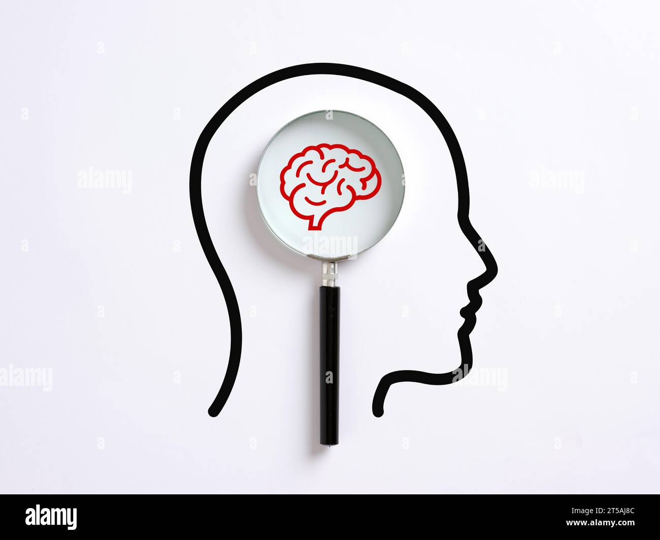 Analyzing the human brain. Brainstorming, intelligence and memory ...