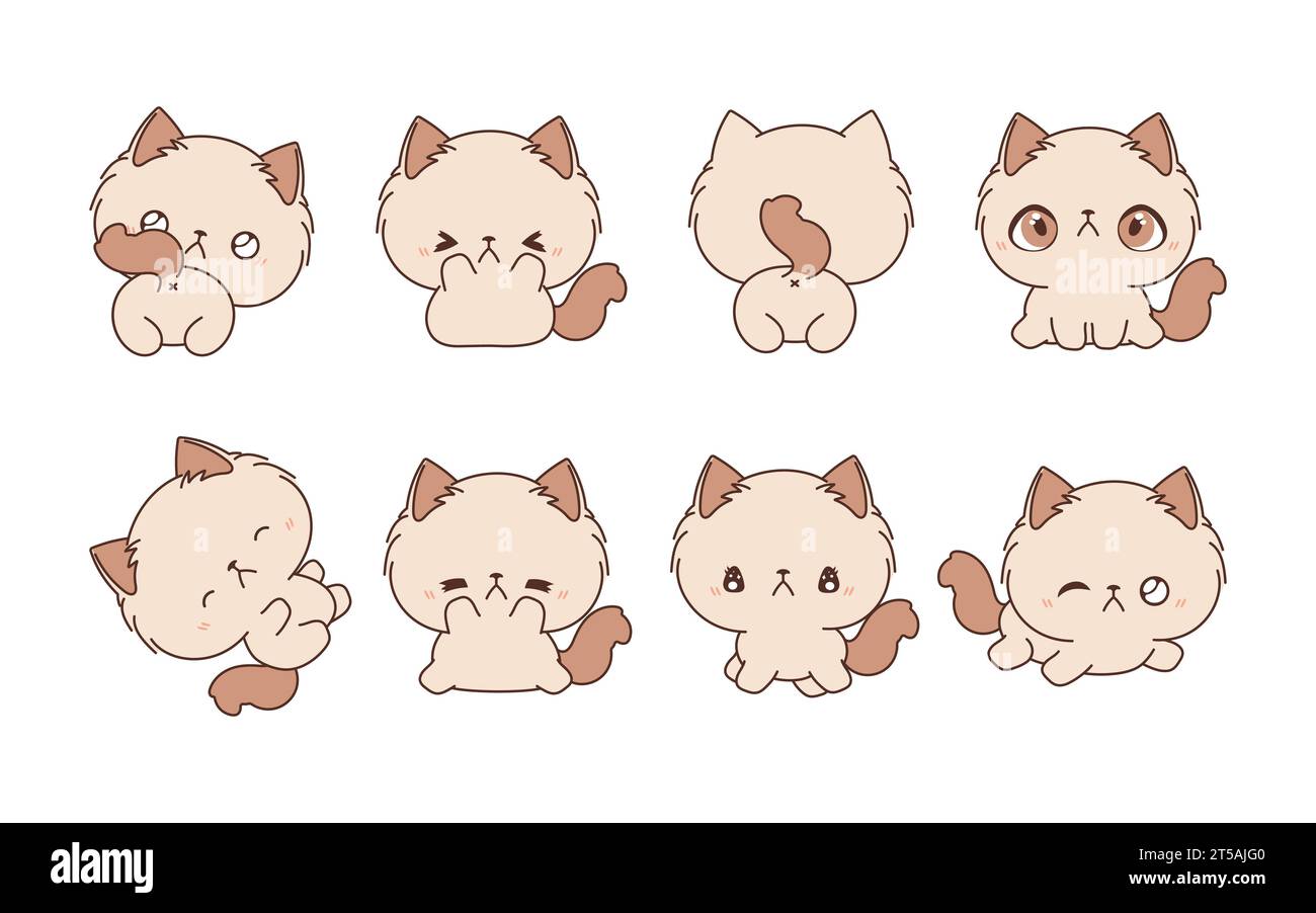 Set of Kawaii Isolated Ragamuffin Cat. Collection of Vector Cartoon ...