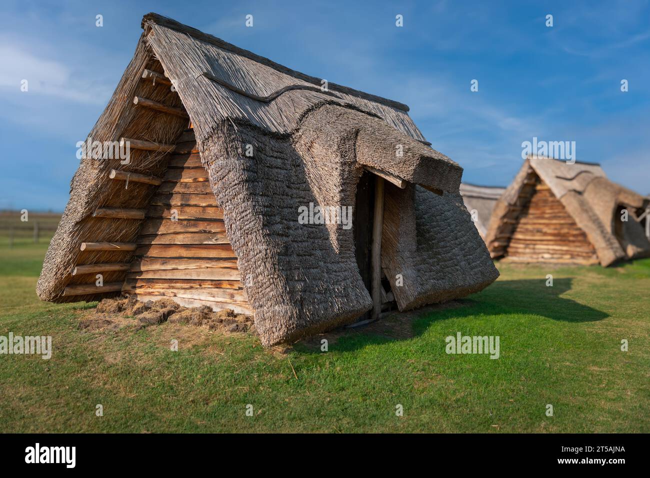 Old traditional countryside house what made from reeds. Sheperds ...